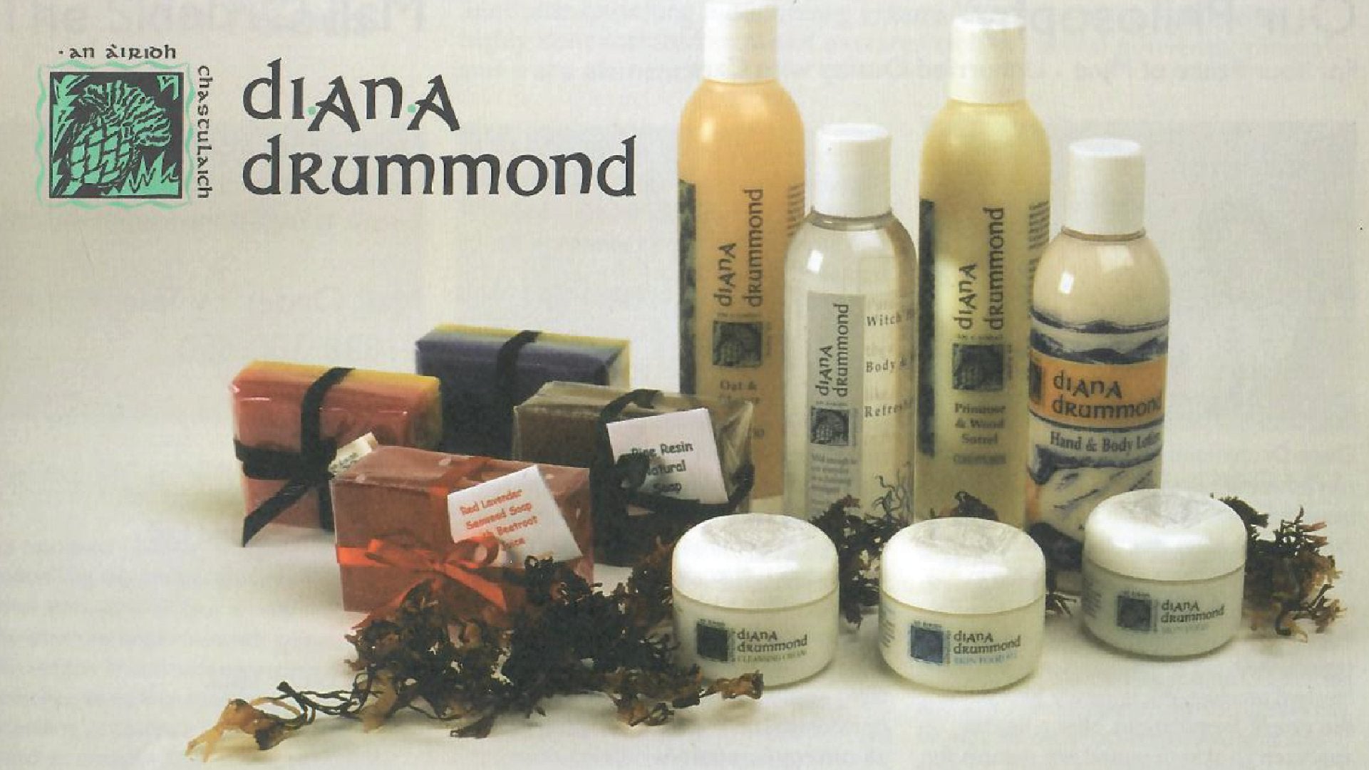 The skin food – Diana Drummond